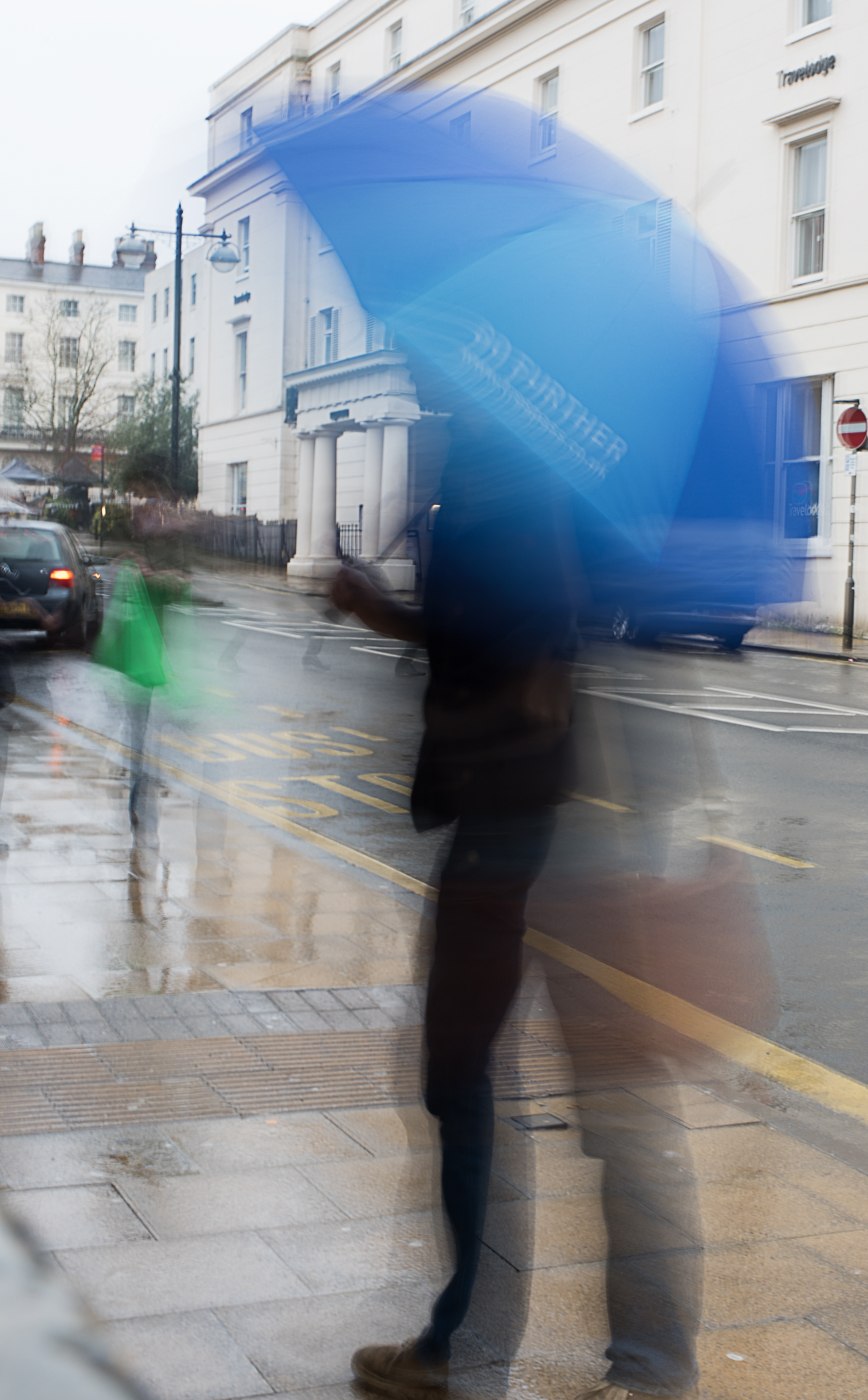 Photographing a rainy day in February. – blossom and sunshine